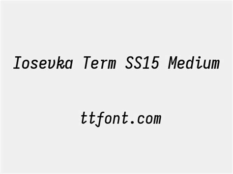 Iosevka Term Ss15 Medium 在线预览 免费下载 天天字体