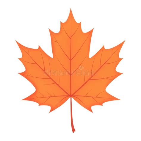 Orange Maple Leaf On White Background Stock Illustration Illustration