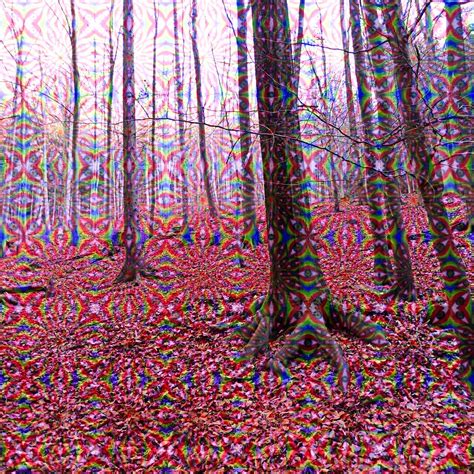 A Replica Of Visual Effects From A Lsd Lsa And Weed Combo Rlsa