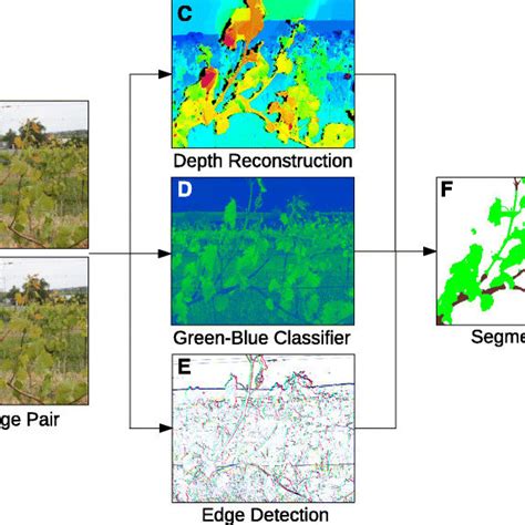 Workflow Of The Proposed Image Based Phenotyping Method Stereo Image