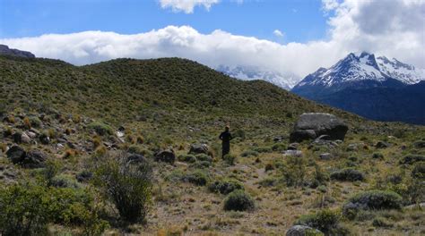 Research Jacob Bendle