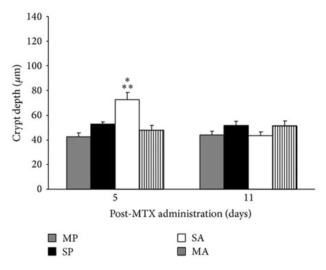Crypt Depth μm In The Duodenum A Jejunum B And Ileum C Of