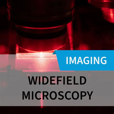 Austrian Bioimaging Widefield Microscopy