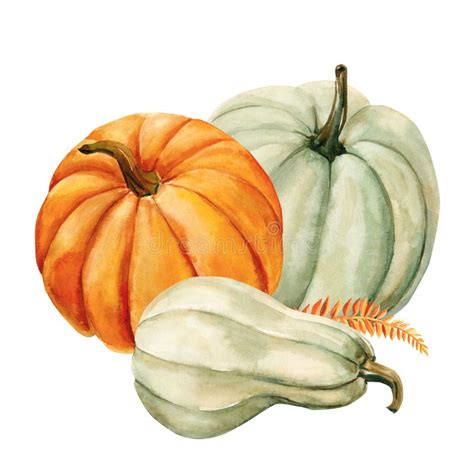 Colored Pumpkins Watercolor Illustration Hand Drawing Autumn Set Of