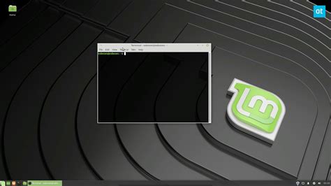 How To Disable The Transparent Terminal Background In Linux Mint YouTube