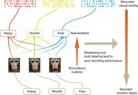 Figure 1 From A Deep Learning Based Neural Decoding Framework For Emotional Brain Computer
