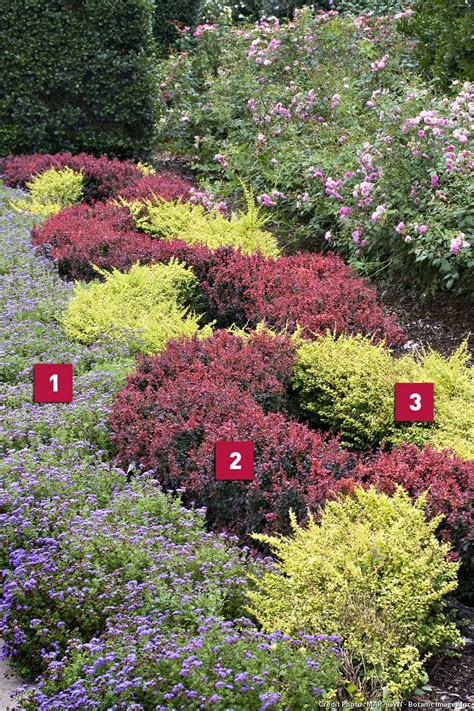Réaliser Un Massif Avec Des Couvre Sol Détente Jardin