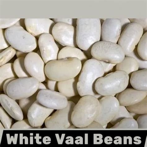 Indian White Vaal Bean Medium Online Mart Kadi