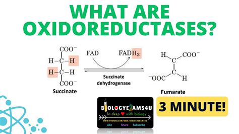 Biochemistry Examples