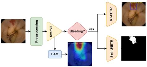论文评述 A Robust Pipeline For Classification And Detection Of Bleeding Frames In Wireless Capsule