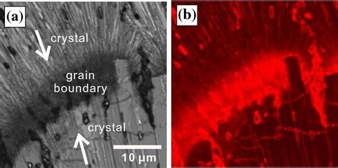 A Microscopy Image And B Fluorescence Image Of Otp With 10 Wt