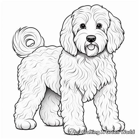 Cockapoo Coloring Pages Free And Printable