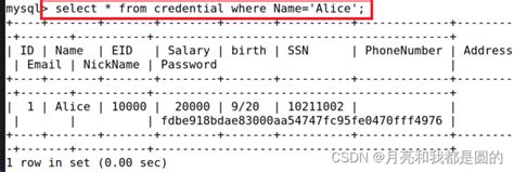 网络攻防 SQL注入 网路攻防sql注入 CSDN博客