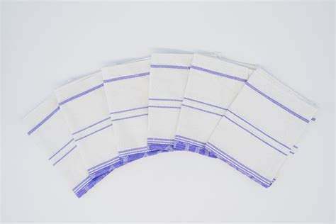 Glass Cloths Bluewhite Host Supplies
