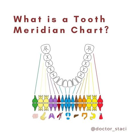 What Is A Tooth Meridian Chart Tooth Chart Meridians Chart