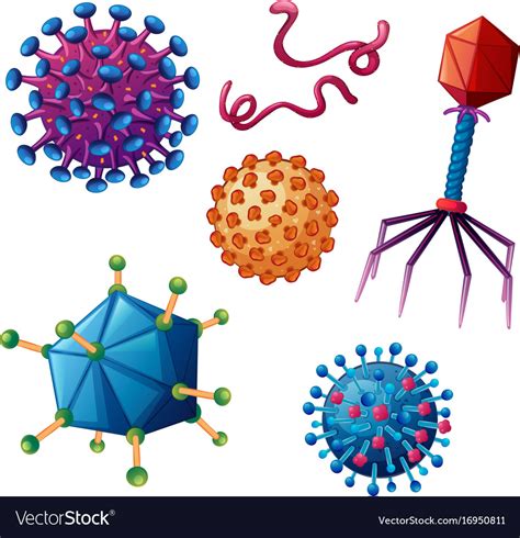 Shapes Of Viruses