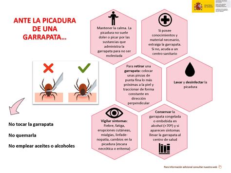 Ministerio De Sanidad Áreas Riesgos Ambientales Vectores