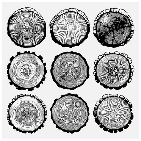 Premium Vector Tree Ring Wood Circle Set Hand Drawn Tree Ring Pattern Line Ripple Circle Wood
