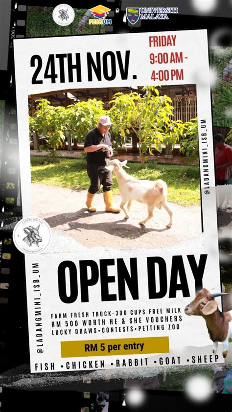 Welcome To Sustainabilityum