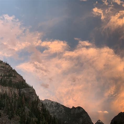 Caleb Albert Youtube