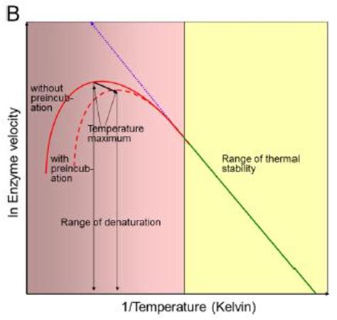 Figure 4 From Recovery Of Enzymes From Industrial Fermentation And Determination Of Activity