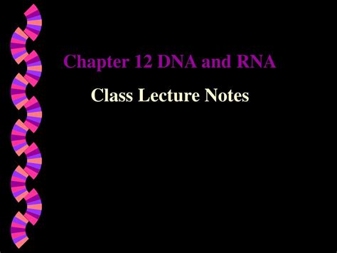 PPT Chapter DNA And RNA Class Lecture Notes PowerPoint Presentation ID