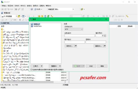 信息技术学考Python一本通 Pcsafer