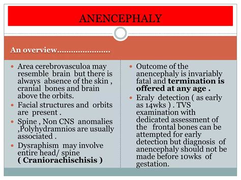 Anencephaly Pptx