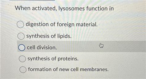 Solved When Activated Lysosomes Function In Digestion Of