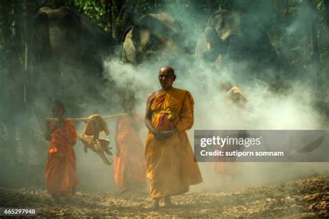 Monks Park Photos And Premium High Res Pictures Getty Images
