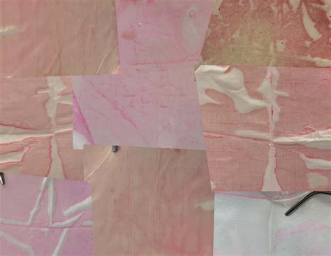 Bacteria Dyes Kate Reed