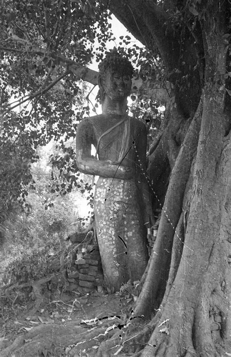 ปักพินโดย Nampol ใน Local ในปี 2025