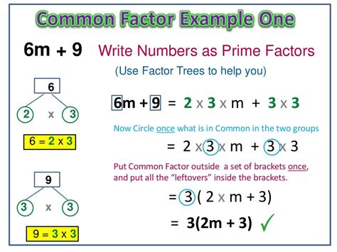 Factorising Common Factors