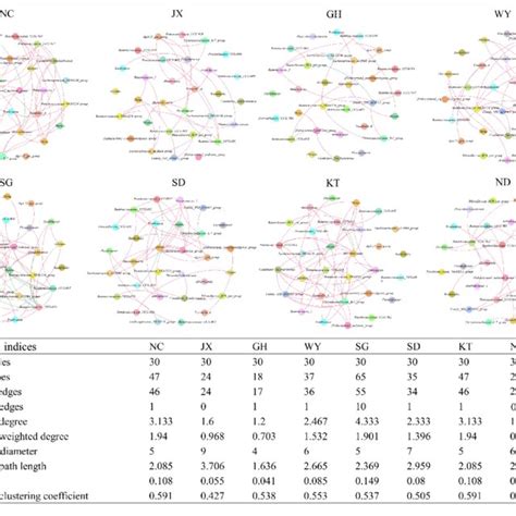 Co Occurrence Networks Of The 30 Most Abundant Genera In Przewalskis