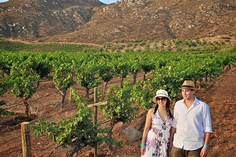 Tripadvisor Ruta Del Vino Valle De Guadalupe Ofrecido Por Ensenada