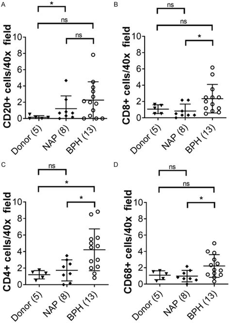 Claudin 1 Down Regulation In The Prostate Is Associated With Aging And Increased Infiltration Of