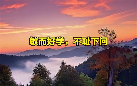 理解《论语》第五篇15章 敏而好学，不耻下问 知乎