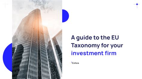 How To Write An Eu Taxonomy Report [complete Guide With Example] Celsia