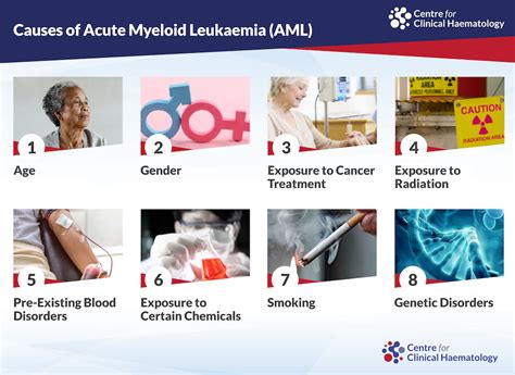 Acute Myeloid Leukaemia Aml Signs And Treatments