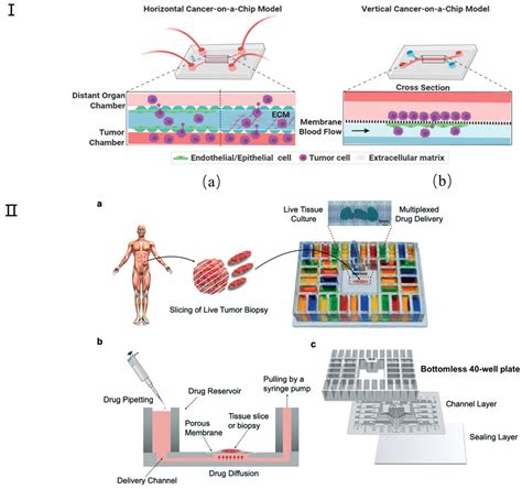 Organ On A Chip Applications In Microfluidic Platforms