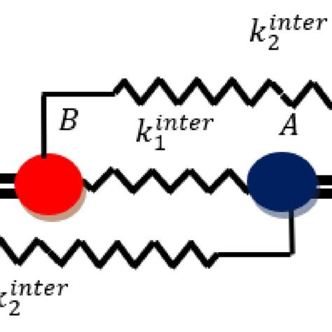 Schematic View Of Two Coupled Binuclear Units Showing The Intra And Download Scientific Diagram