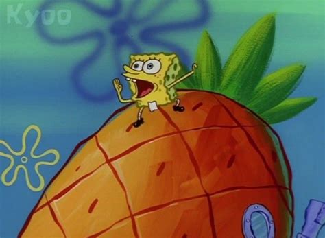 Spongebob Jungle Pants Spongebob Funny Spongebob Funny Pictures