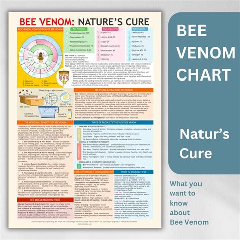 Bee Venom Information Chart Chemistry Uses Concentration A4 Digital