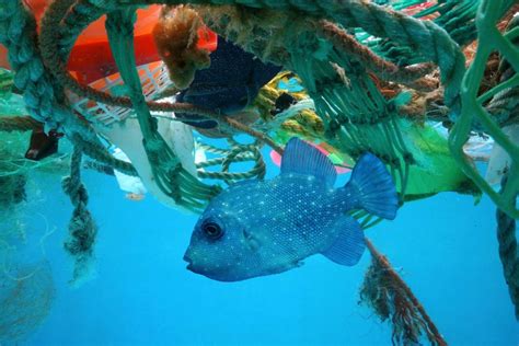 Greenpeace Activists Board Tanker In Plastic Protest