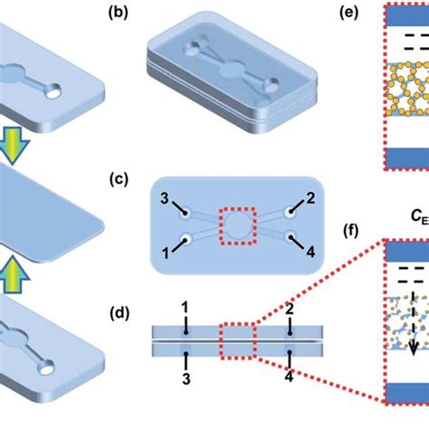 Schematic Illustration Of The Microfluidic Membrane Device For Download Scientific Diagram