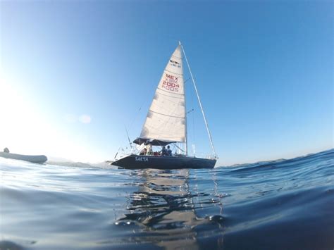 The Pursuit Of Cortez Puerto Los Cabos Los Cabos