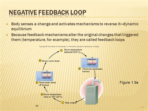 Vladimir Jurukovski Phd Ppt Download