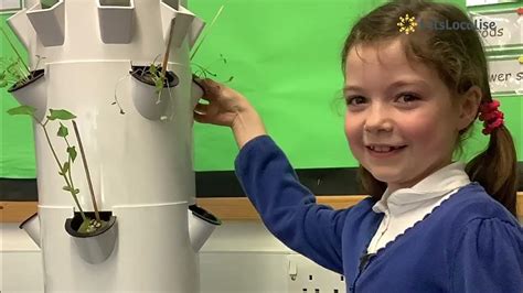 Grow School Programme Torrisholme Community Primary School Youtube