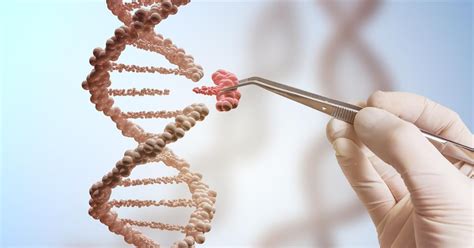 Liz Parrish Mba On Linkedin Gene Therapy Shows Long Term Benefits For