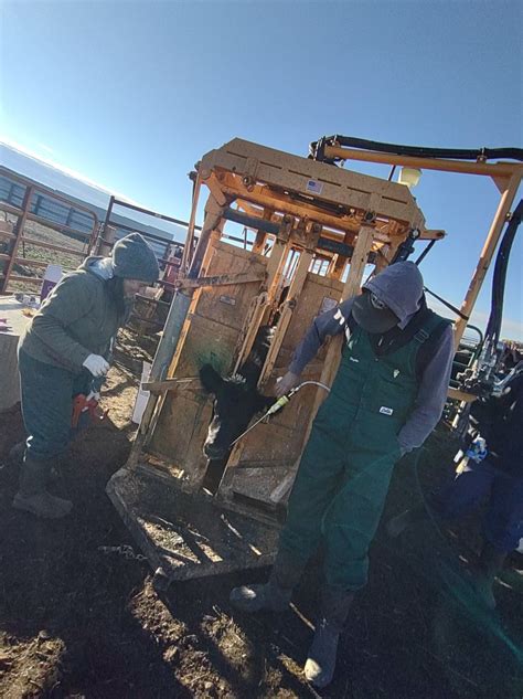 Webster Sd Veterinary Clinic